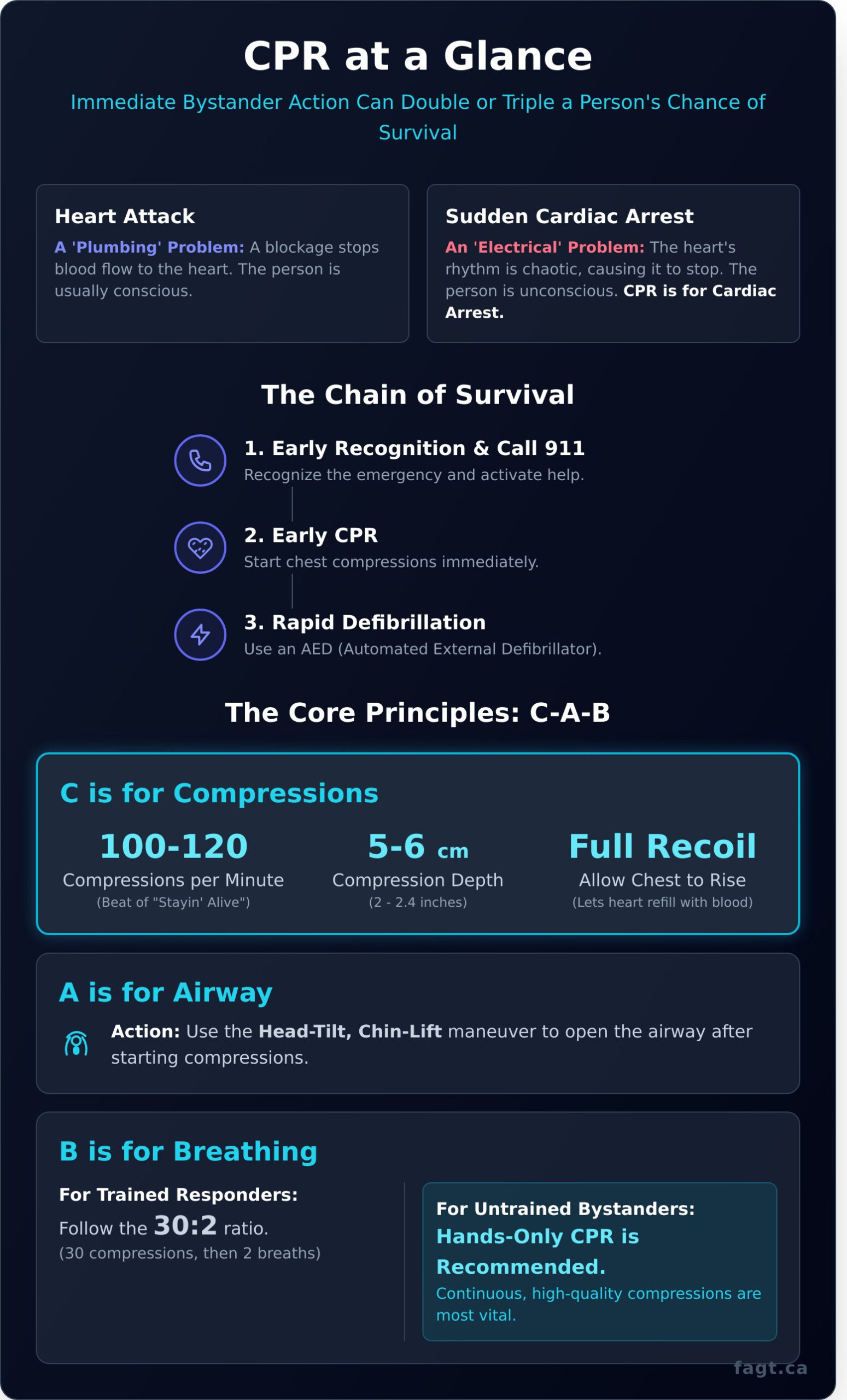 What is CPR? A Beginner’s Guide to Cardiopulmonary Resuscitation ...